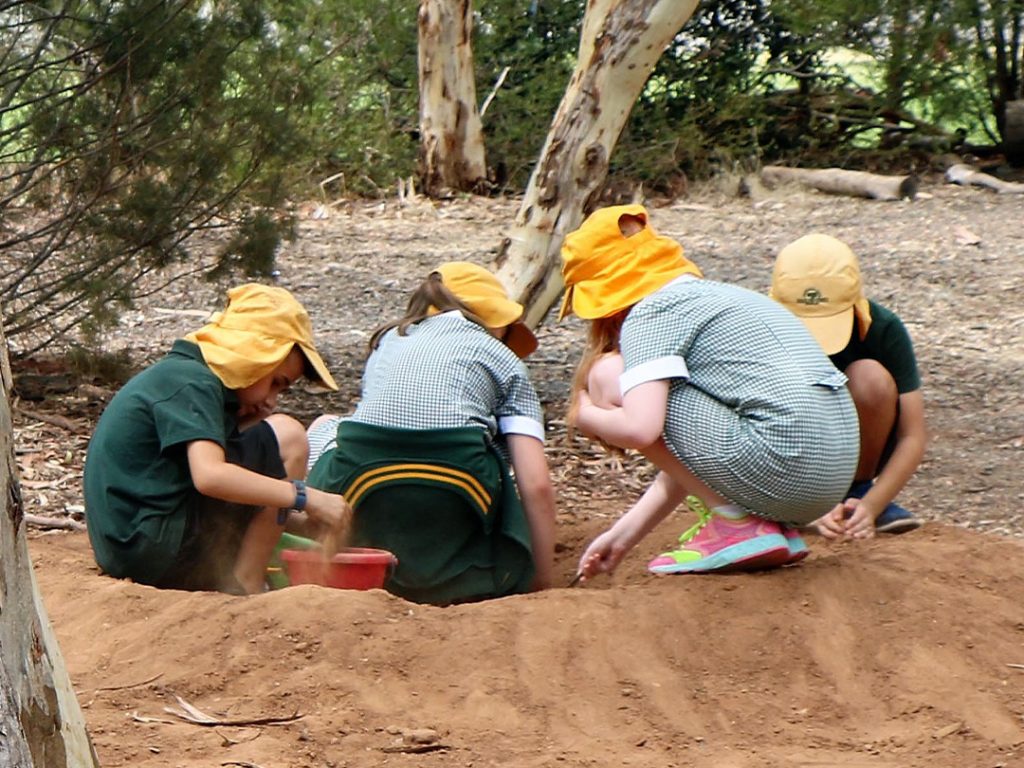 Our Primary Schools - South Australian Government Schools